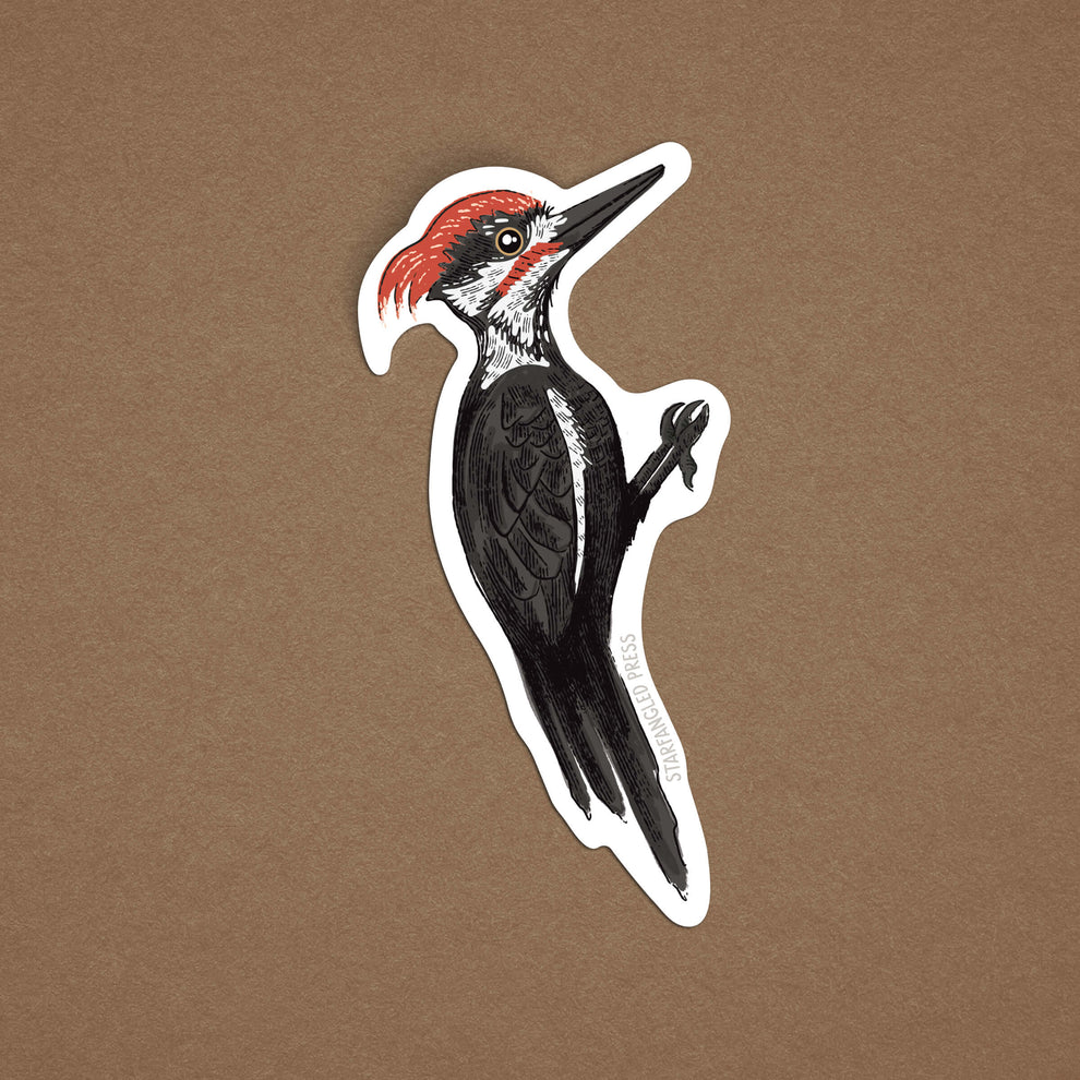 Woodpecker Sticker – Starfangled Press